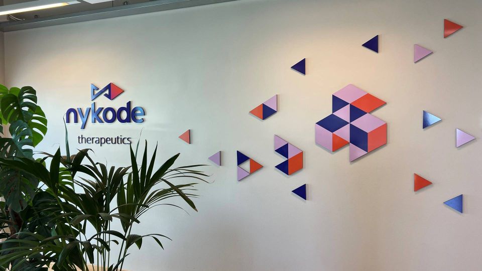 Nykode skal velge nytt styre