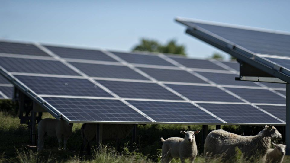Danish TSO warns about new solar farms creating imbalance