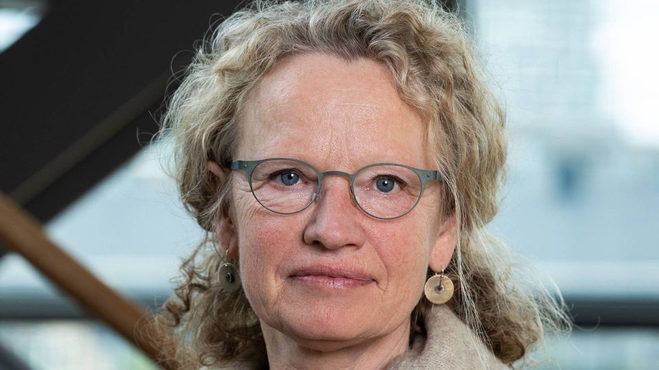 Danish offshore wind project wants politicians to revisit open door policy