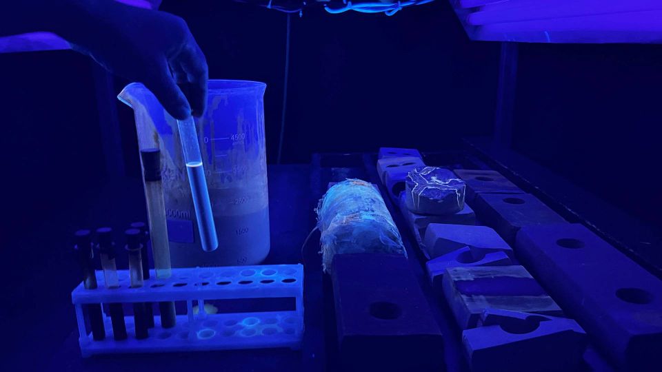 Base Life Science henter ny finansdirektør