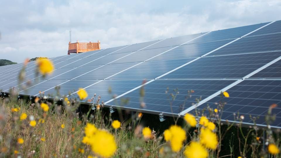 Google orders 161 MW solar capacity in Denmark