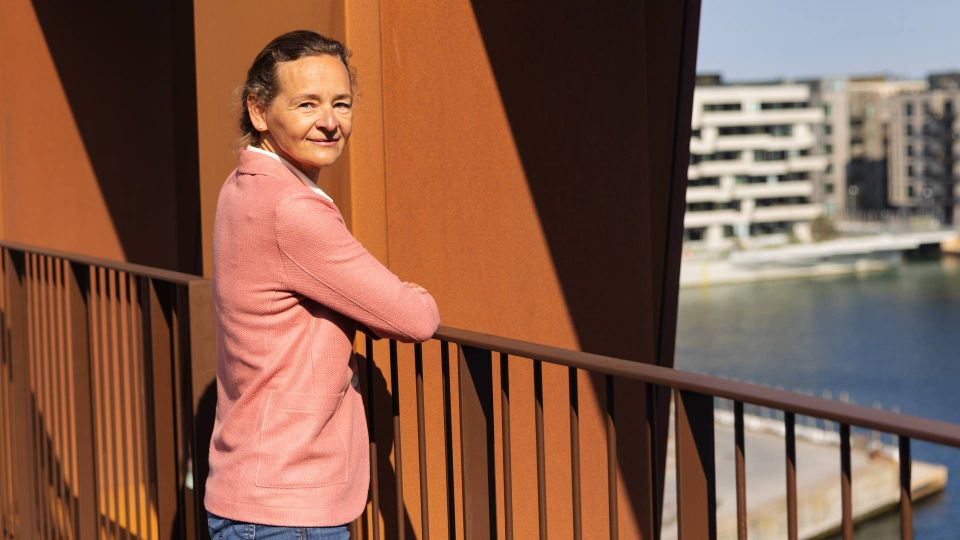 Bestyrelsesprofil spår flere bankfusioner