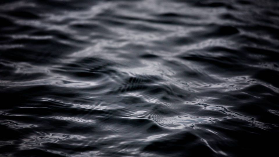 Akutplan mod kvælstofudledning peger på landbruget