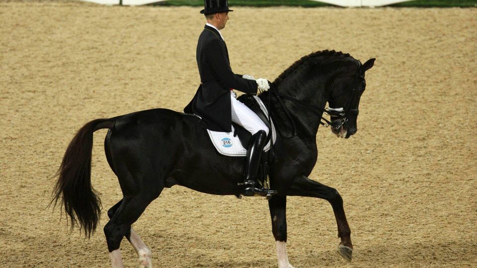 Helgstrands krisestyring er helt til hest