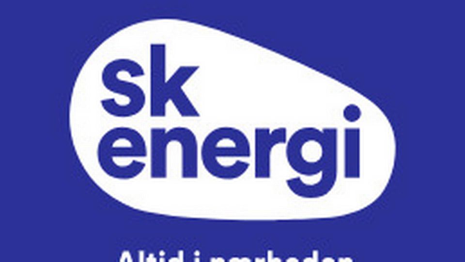 Tidligere folketingsmedlem forlader energibestyrelse efter ...