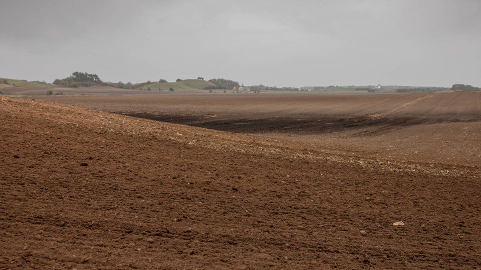 Tysk jord-investor lander røde tal på bundlinjen