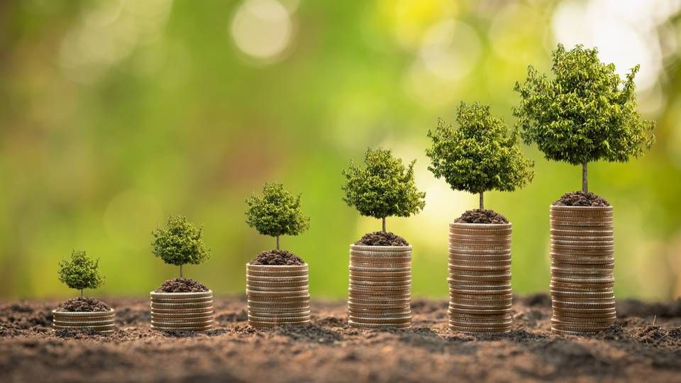 HSBC-Manager wechselt zu ESG-Fintech Arabesque