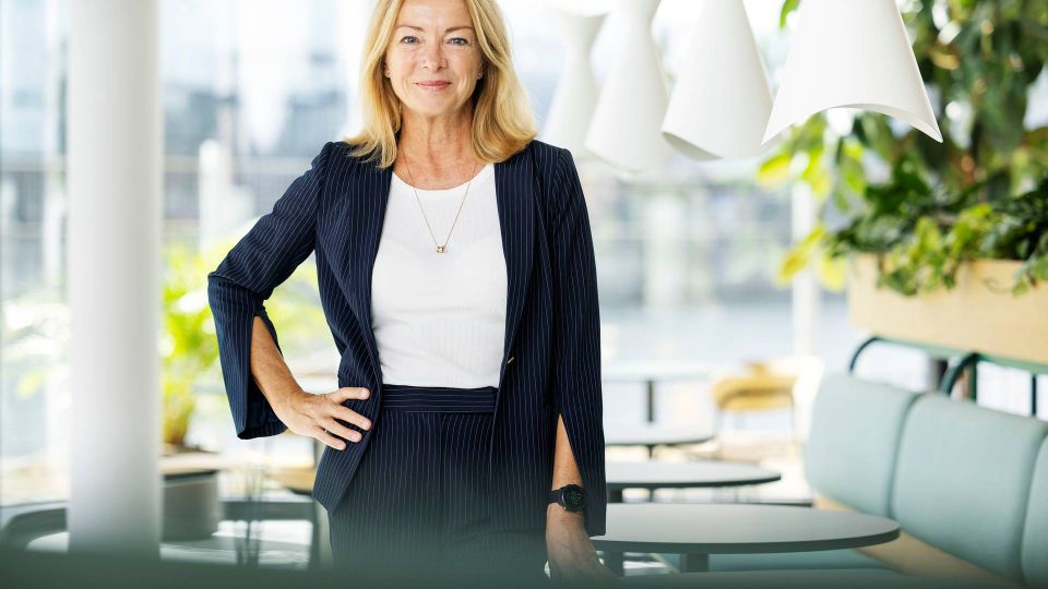 Selvstændig rådgiver bliver k-direktør i medicinalselskab