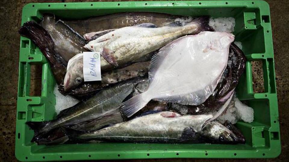 Fiskemilliarder får ny styrmand