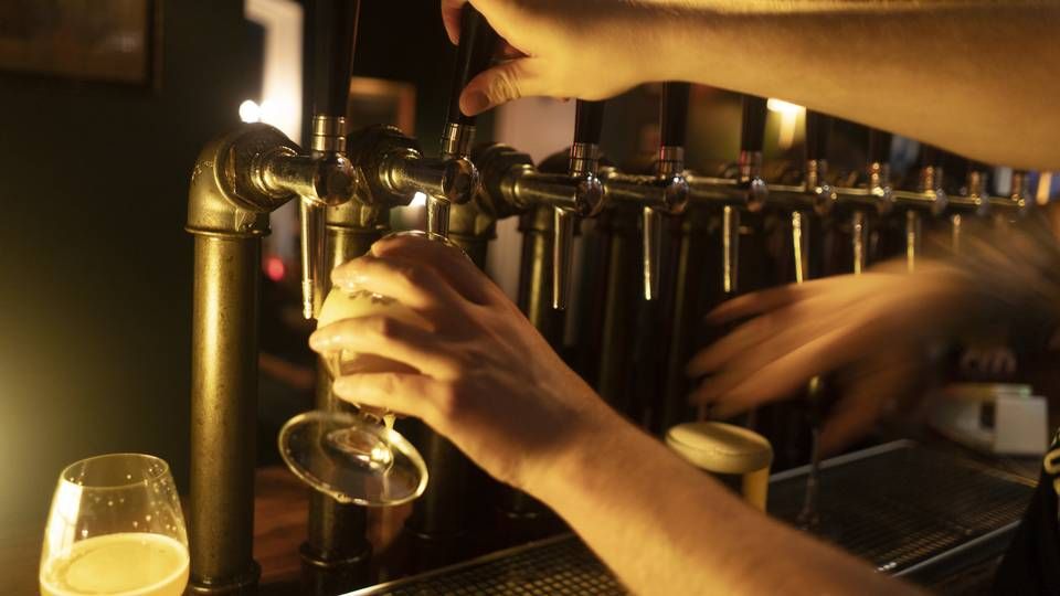 Forskere brygger øl fra 5000 år gammel ølgær