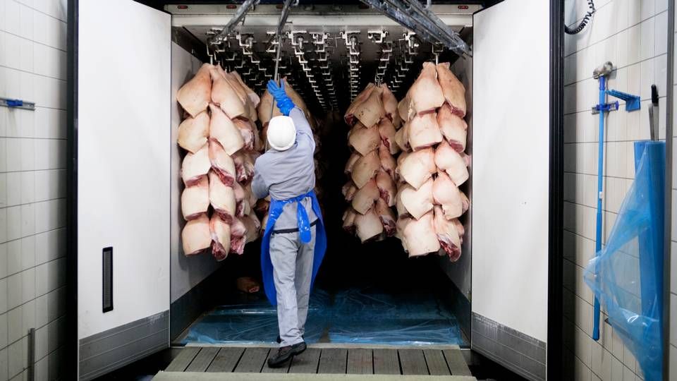 Cavling-vinder bliver ny kommunikationsdirektør i fødevaregigant