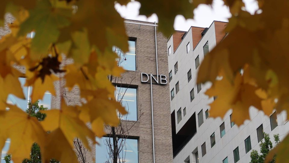 DNBs nye kjernekraftfond er «ment som krydder»