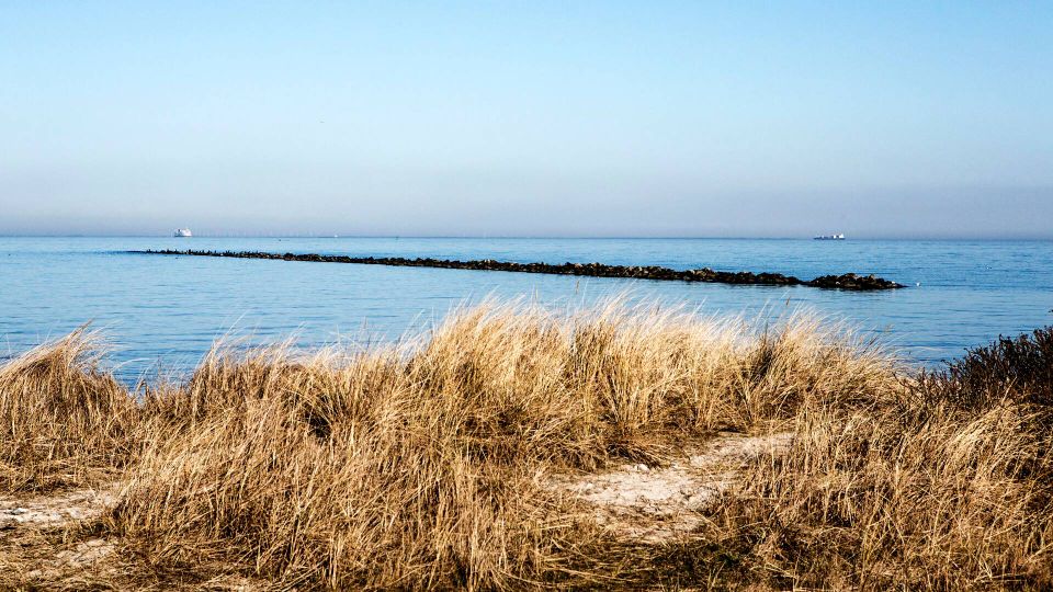 Femern-selskab ser risiko for forsinkelser i 2025