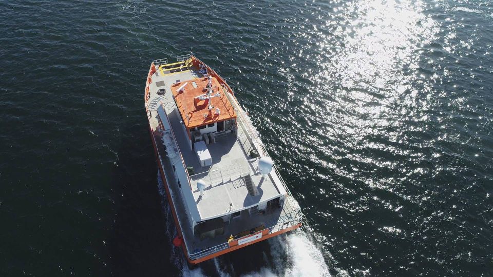 US carriers considered investing in bankrupt Danish operator