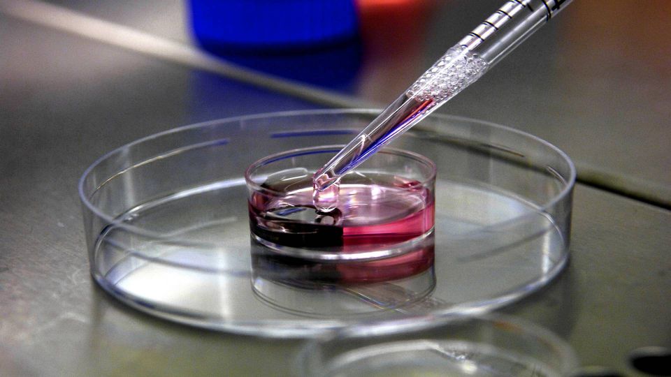 Kem-en-tec fortsætter med solide overskud