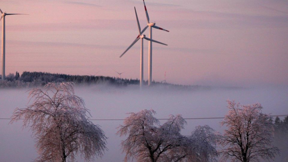 Denmark's Eurowind snatches Swedish wind projects from bankrupt estate