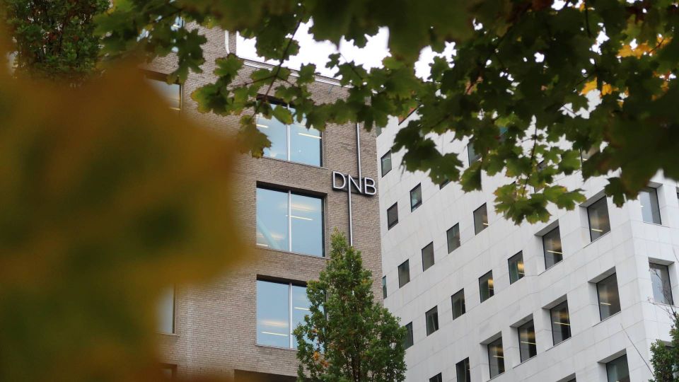 DNB vill knoppa av finansbolag