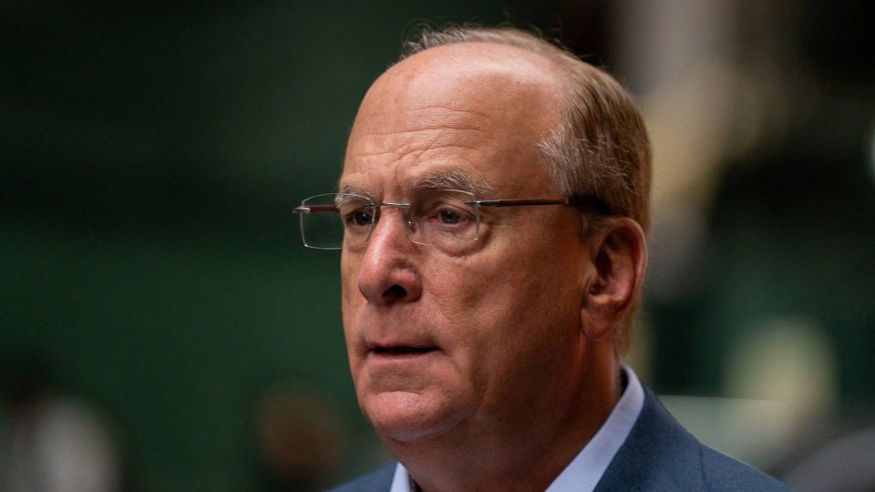Larry Fink says private companies create structural ESG problem
