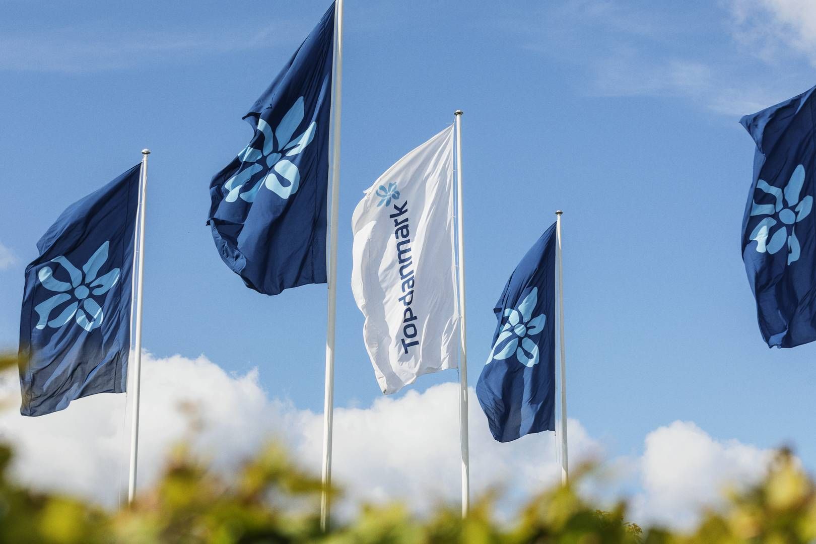 Mindre forsikringsselskab sælger kundeportefølje til Topdanmark
