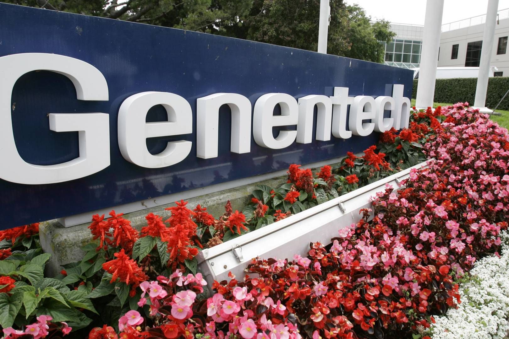 Genentech skal samarbejde med Nvidia om AI