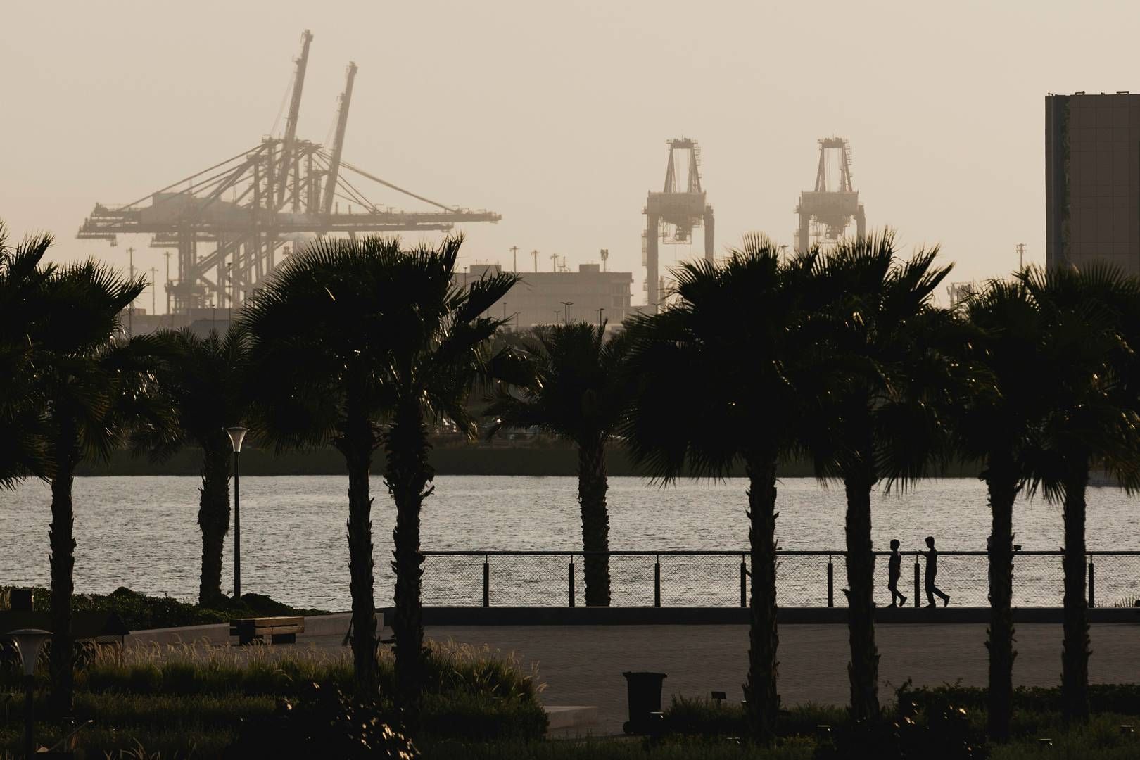 Saudi Arabian port calls more than halved
