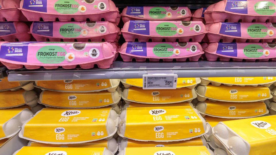 Nortura: Minst 10 millioner egg tilbakekalt fra dagligvarebutikkene på grunn av forgiftningsfare